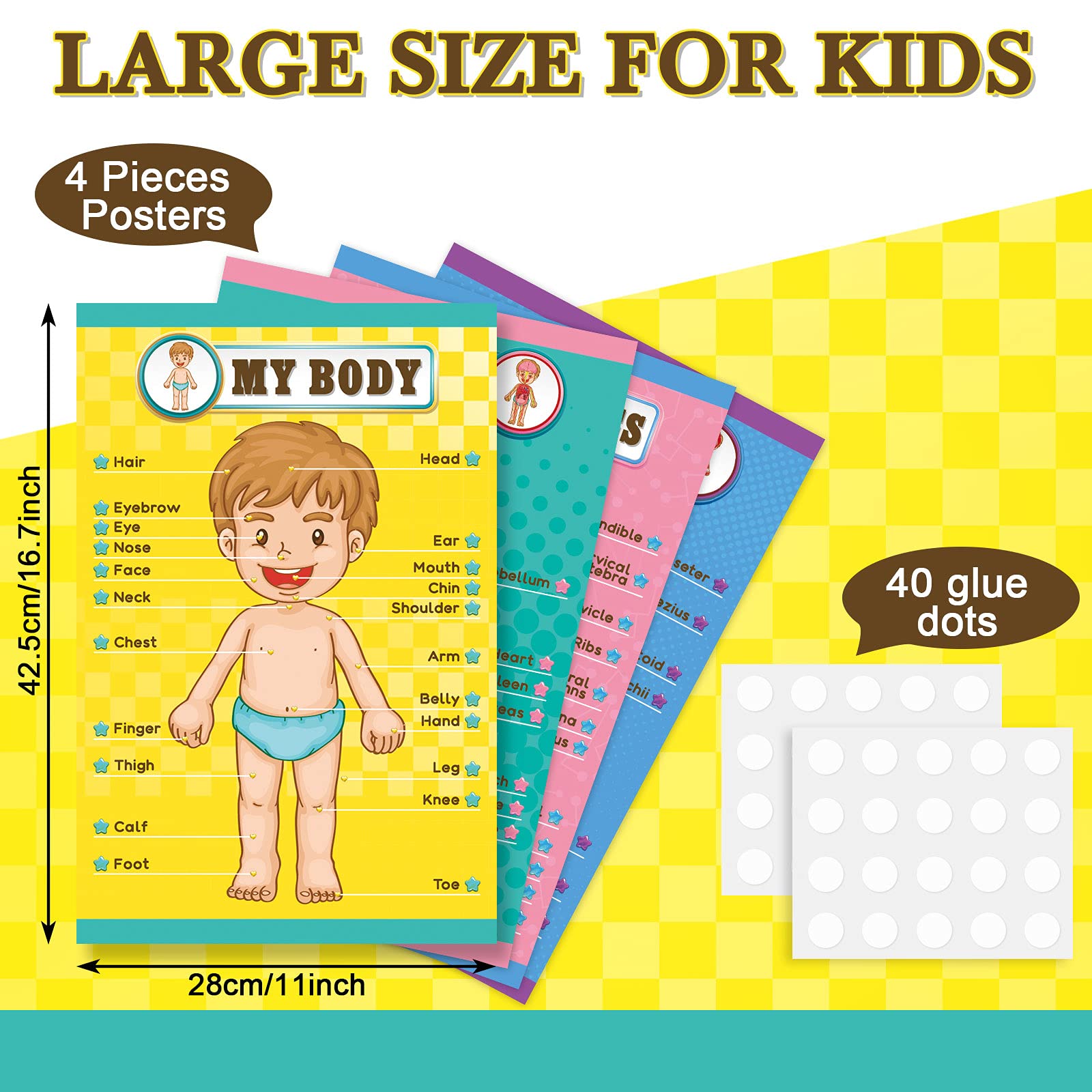 Mua Human Body Educational Learning Posters Body Parts Learning Wall ...