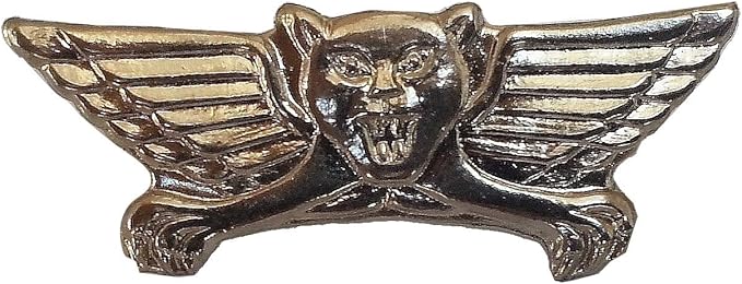 Amazon.com: Israeli army SAYERET GOLANI RANGERS unit badge Israel IDF ...