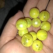 Amazon.com: Kangaroo Marble Set - 160; Marbles Game, in a Tin Box: Toys ...