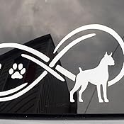 Amazon.com: H1071 Infinity Boxer Dog Decal Sticker: Automotive