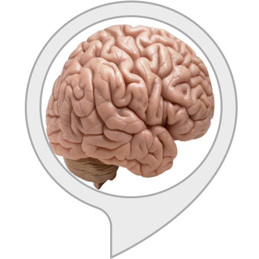 Amazon.com: The Phish Trivia Game : Alexa Skills