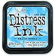 Amazon.com: Ranger Tim Holtz Distress Ink Pad, Salty Ocean : Arts ...