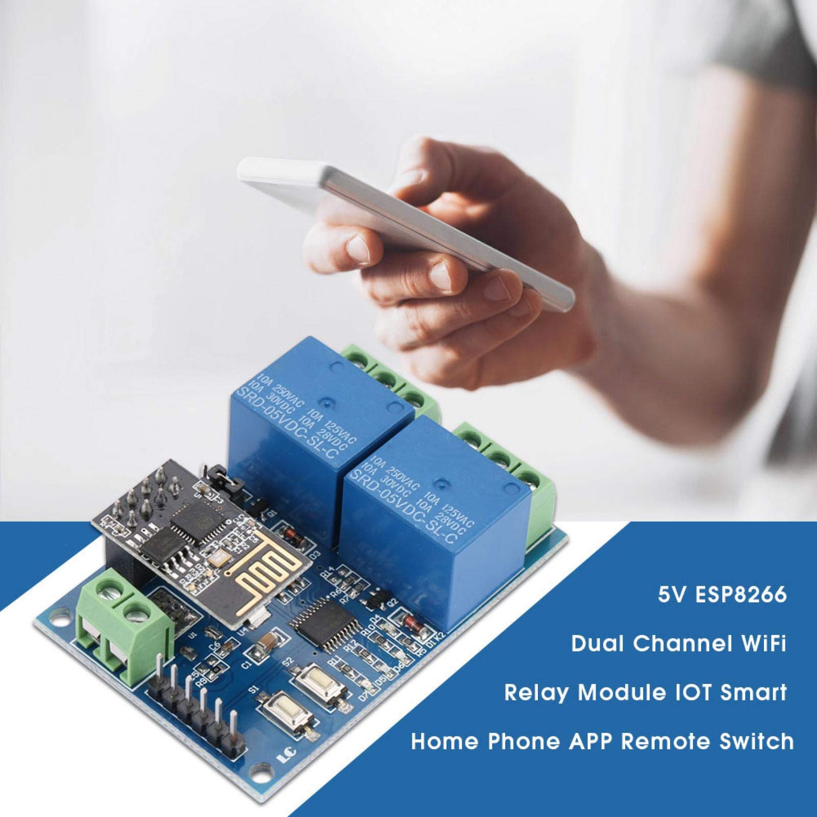Mua ESP8266 Dual Channel Relay Module, IOT Smart Home Phone APP Remote Switch with Diode ...