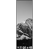 Amazon.com - Frame It Easy 15 x 40 Satin Black Metal Frame (Ashford)