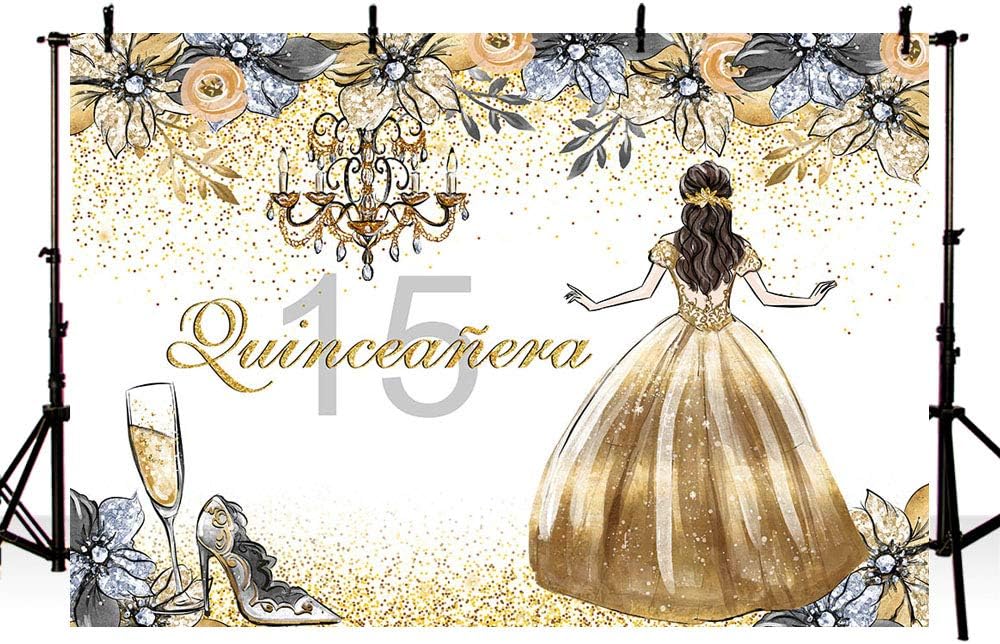Mehofoto Quinceanera 15 Princess Birthday Photo Studio Booth Background ...