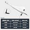 Lose Fun Park 1:200 Scale British Airways Concorde Model Airplane G ...