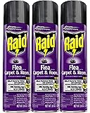 Amazon.com: Raid Flea Killer Carpet & Room Spray, 16 OZ (Pack - 2 ...
