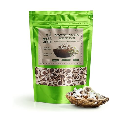 Moringa Oleifera Seeds (Drumstick Tree) 1000+ Count (10oz) | Edible ...