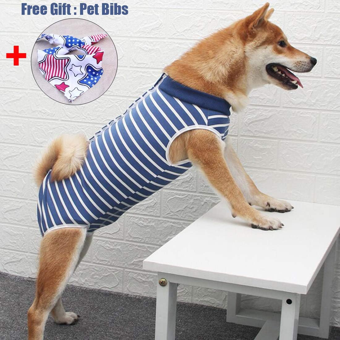Canine Surgical Suit www npssonipat Canine Surgical Suit www npssonipat