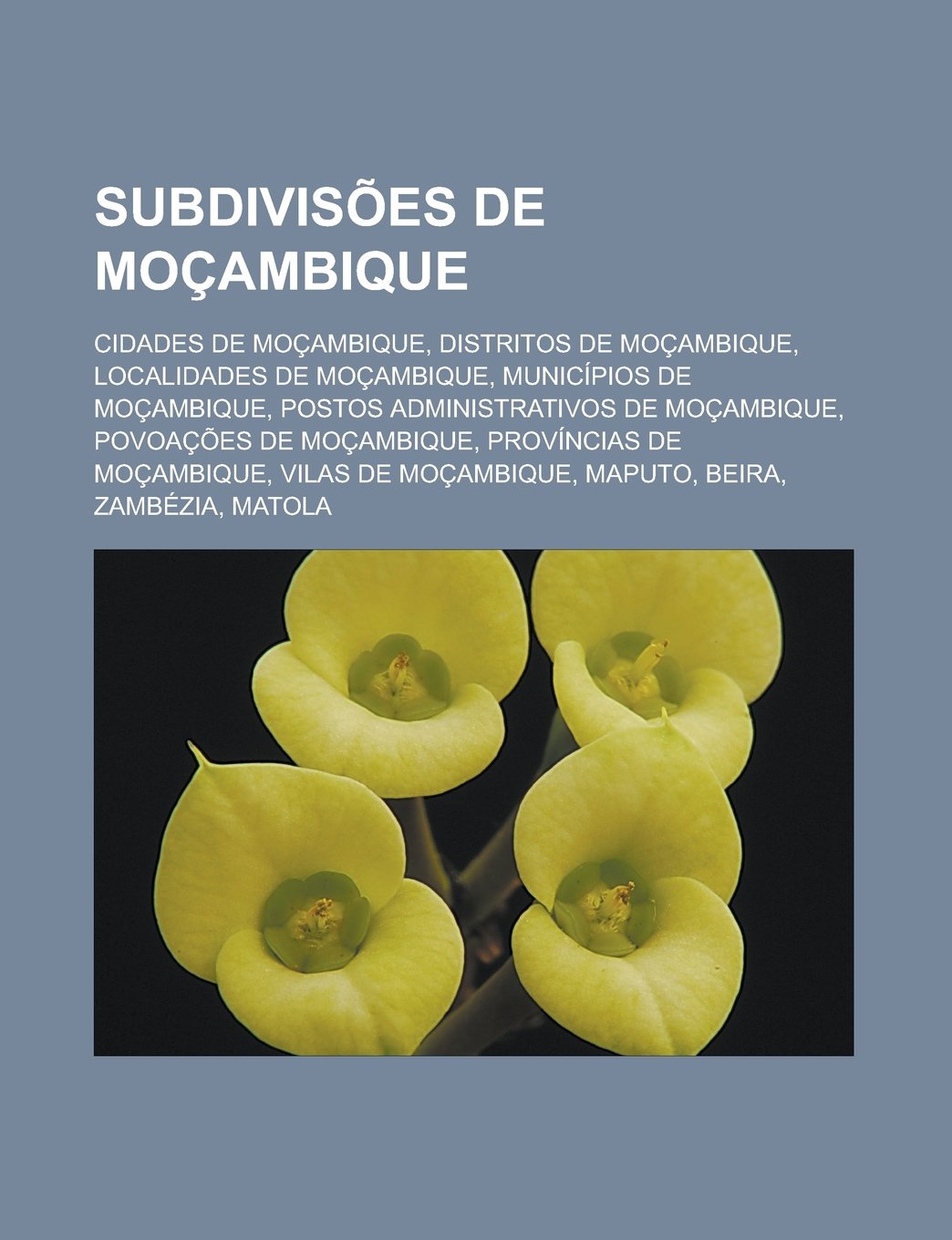 Subdivisoes de Mocambique: Cidades de Mocambique, Distritos de ...
