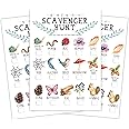 Amazon.com: Nature Scavenger Hunt Cards Set of 30 Pcs, Nature Treasure ...