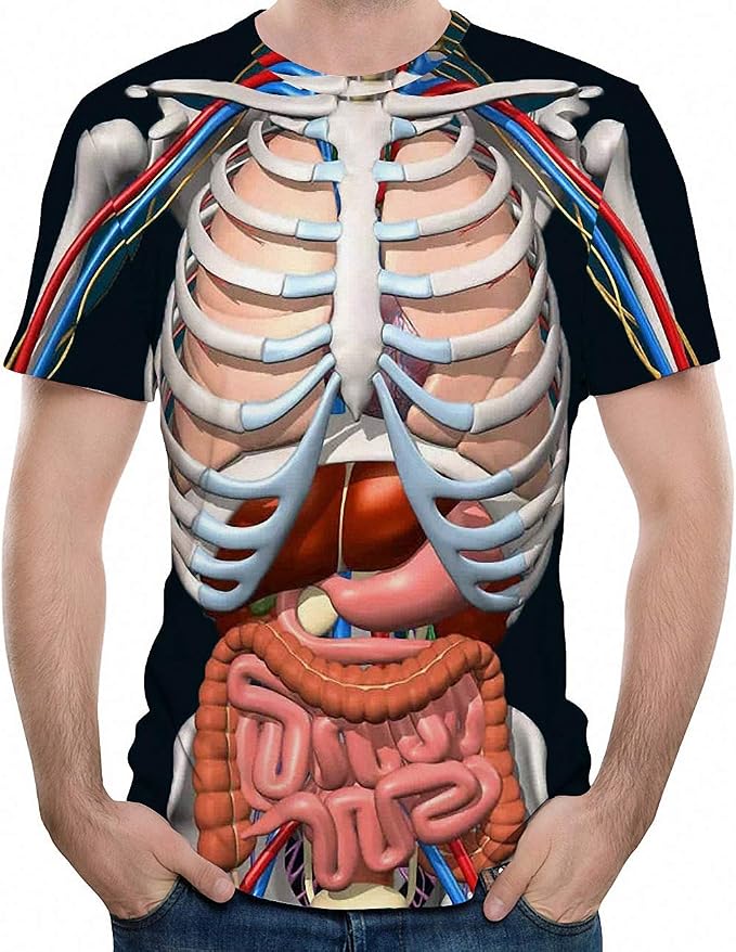 Diagram Rib Cage With Organs Human Ribcage And Internal Organs 