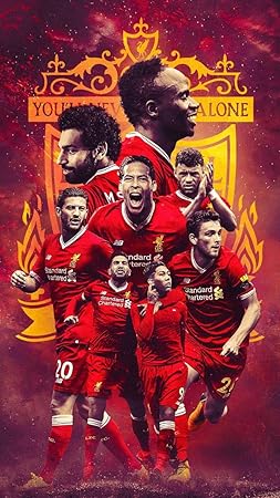 AP Enterprises Best Liverpool LFC Football Club English Premier League ...