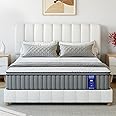 Amazon.com: SynthoSpace Queen Mattress 14 Inch Hybrid Mattress in a Box ...