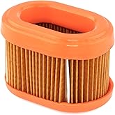 Amazon.com: Briggs & Stratton 399806S Oval Air Filter Cartridge ...