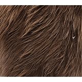 Amazon.com: Chocolate Brown Shag Faux Fur Fabric 60" Wide