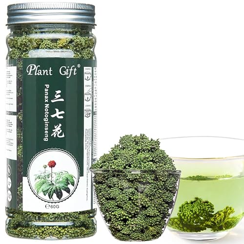 Plant Gift Panax Notoginseng Flower, Sanchi Ginseng Flower, Loose Leaf ...