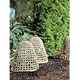 Amazon.com : Woven Willow Cloche, 15-3/4" in Diameter x 17-1/2" H ...
