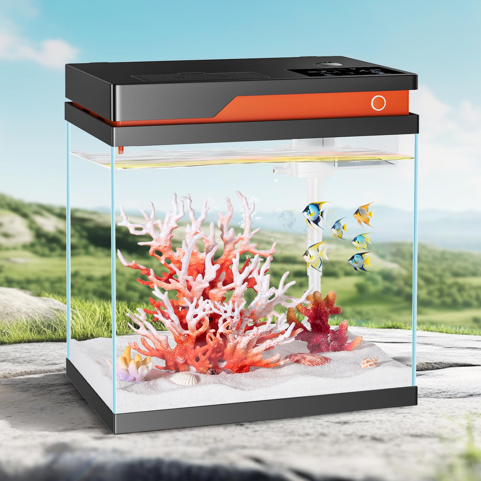 PONDON 4 Gallon Smart Fish Tank, Glass Betta Tank with Filter and Light ...