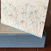 Butterflies Note Cards (Boxed Cards, Stationery): Amazon.co.uk: Peter ...