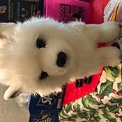 Amazon.com: Douglas Phoebe Pomsky Plush Stuffed Animal: Toys & Games