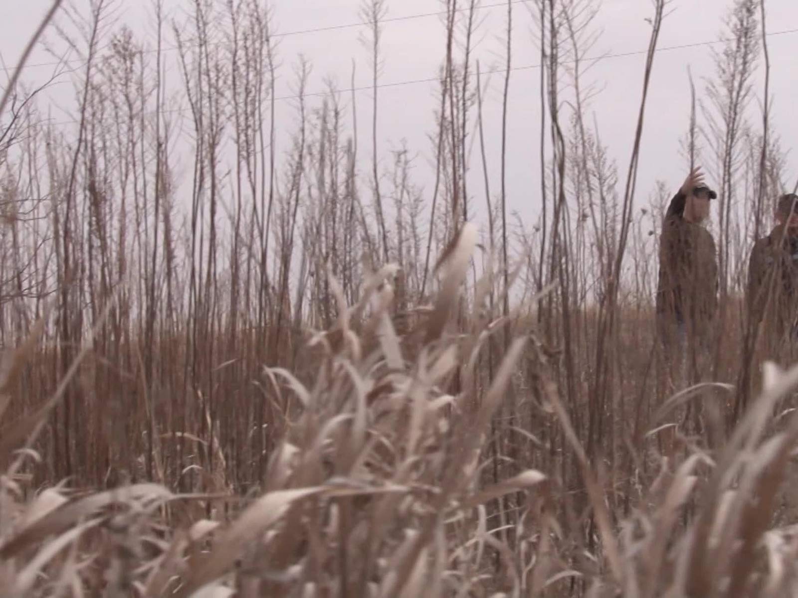 Watch Red Rising TV - Season 1 | Prime Video