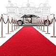 Amazon.com: EZLucky Luxury Red Carpet Runner for Party, 2.6 x 30 Feet ...