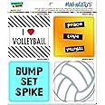 Amazon.com: Volleyball Player Fan Love Automotive Car Refrigerator ...