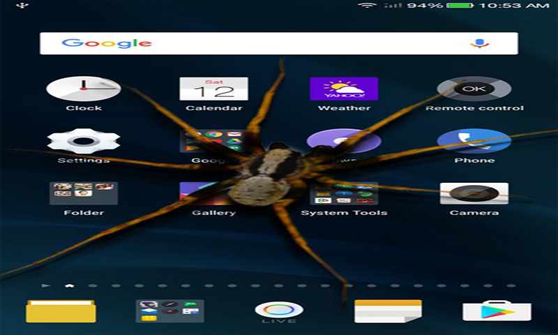 Amazon.com: Freaky Spider On Screen Prank - Realistic Funny Spiders in ...