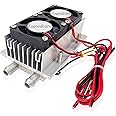 Amazon.com: Lsgoodcare 120W Semiconductor Refrigeration Cooler Kit DIY Peltier Cooler 12V TEC1 ...