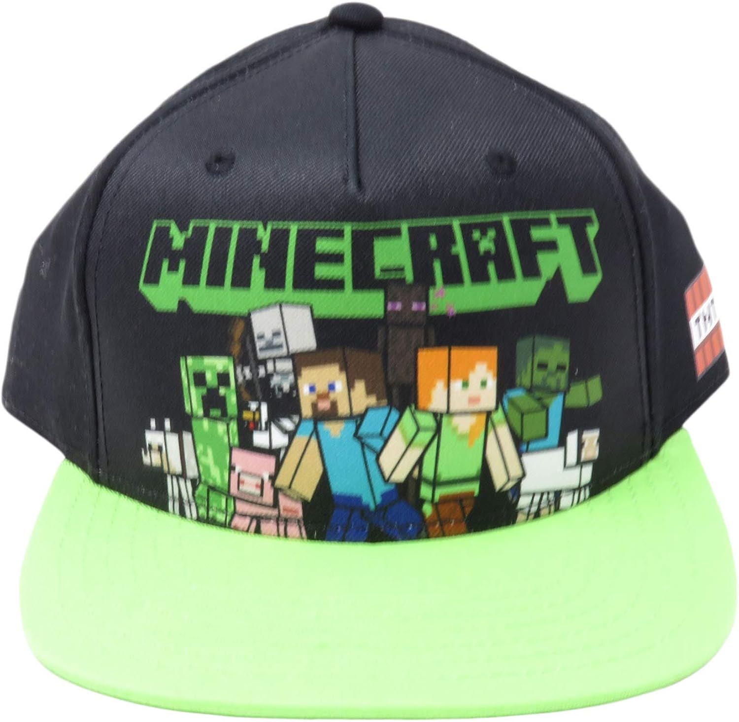 Amazon.com: Minecraft Group Logo Boys Snapback Hat Cap New Licensed ...