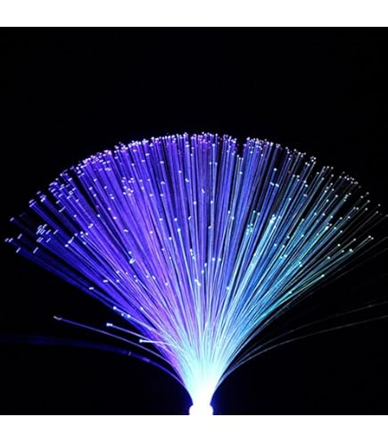 Fiber Optic Spray Light Www.fantasialight.com: The History Fantasia