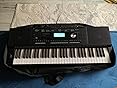 Roland EX-20 Arranger Keyboard : Amazon.in: Musical Instruments