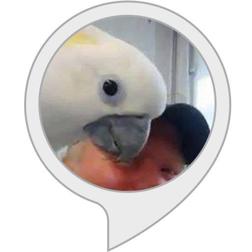 Bird Talk Radio: Amazon.co.uk: Alexa Skills