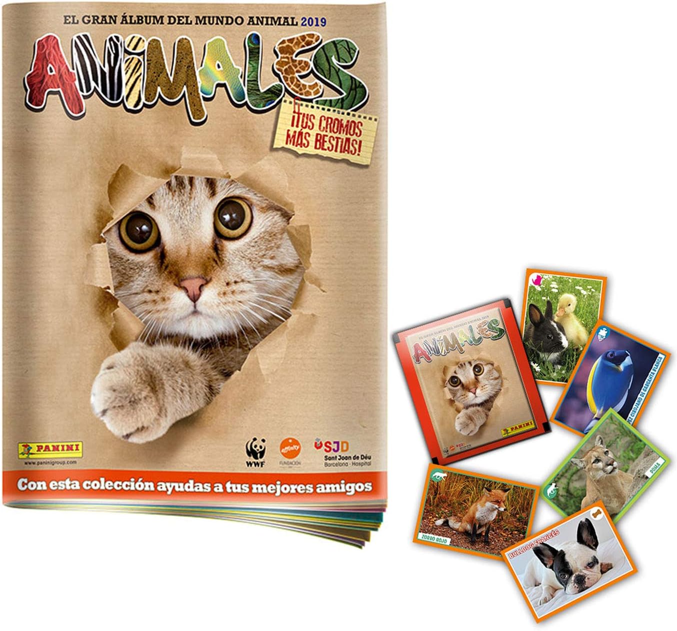 Panini- Animales 2019 Álbum (003713AE): Amazon.es: Juguetes y juegos