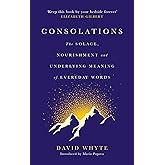 Consolations: The Solace, Nourishment and Underlying Meaning of ...