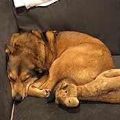 Amazon.com: Fluff & Tuff Tina the Alpaca Plush Dog Toy: Pet Supplies