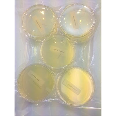 10-Pack SDA Agar Petri Plates for Yeast and Mold Sri Lanka | Ubuy