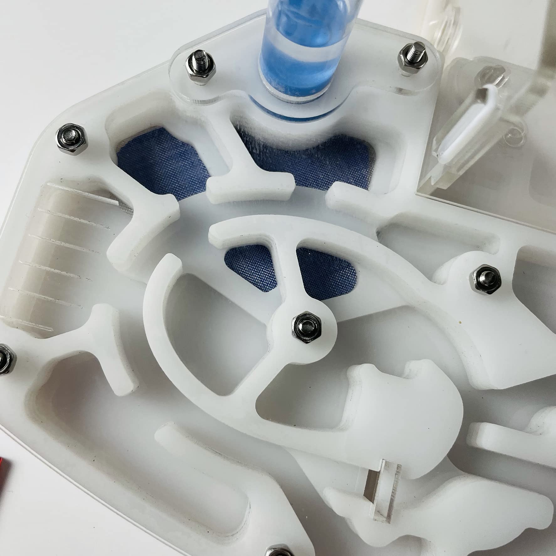 Mua Large Size 24 x 18 cm Arylic Ant Nest, Ant Farm, Ant Habitat ...