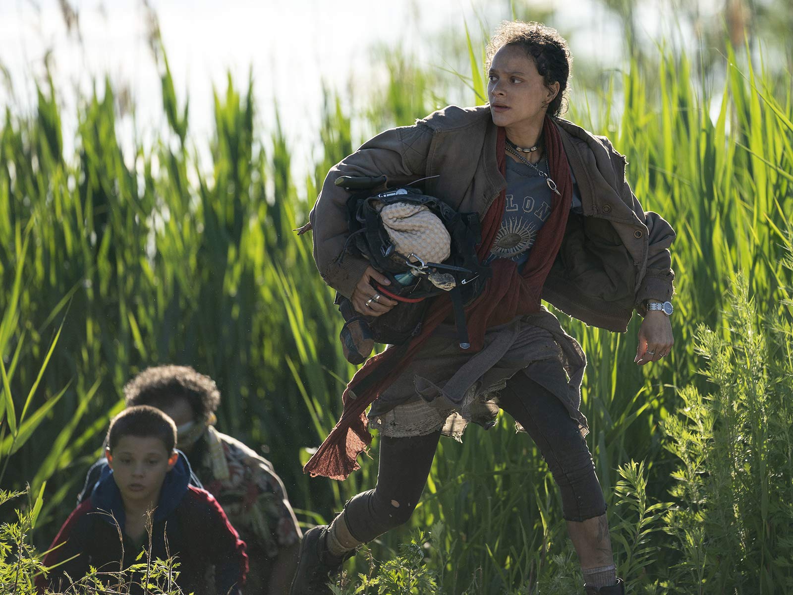 Amazon.co.jp: Utopia - Season 1 : John Cusack, Rainn Wilson, Sasha Lane ...