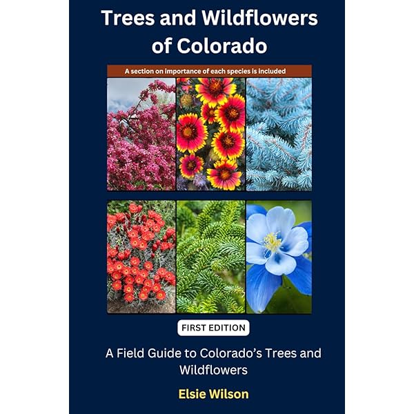 Colorado Tree Identification Guide Native Wildflowers Of Colorado