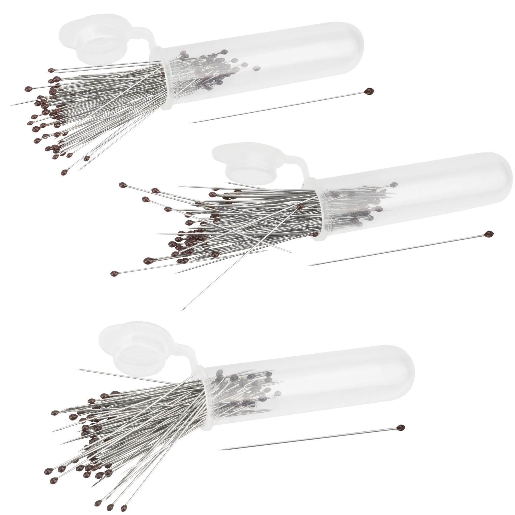 Insects & Insect Kits Bahrain | Buy Online | Whizz Others