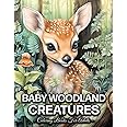 Amazon.com: Baby Woodland Creatures: Cute Baby Woodland Animals ...