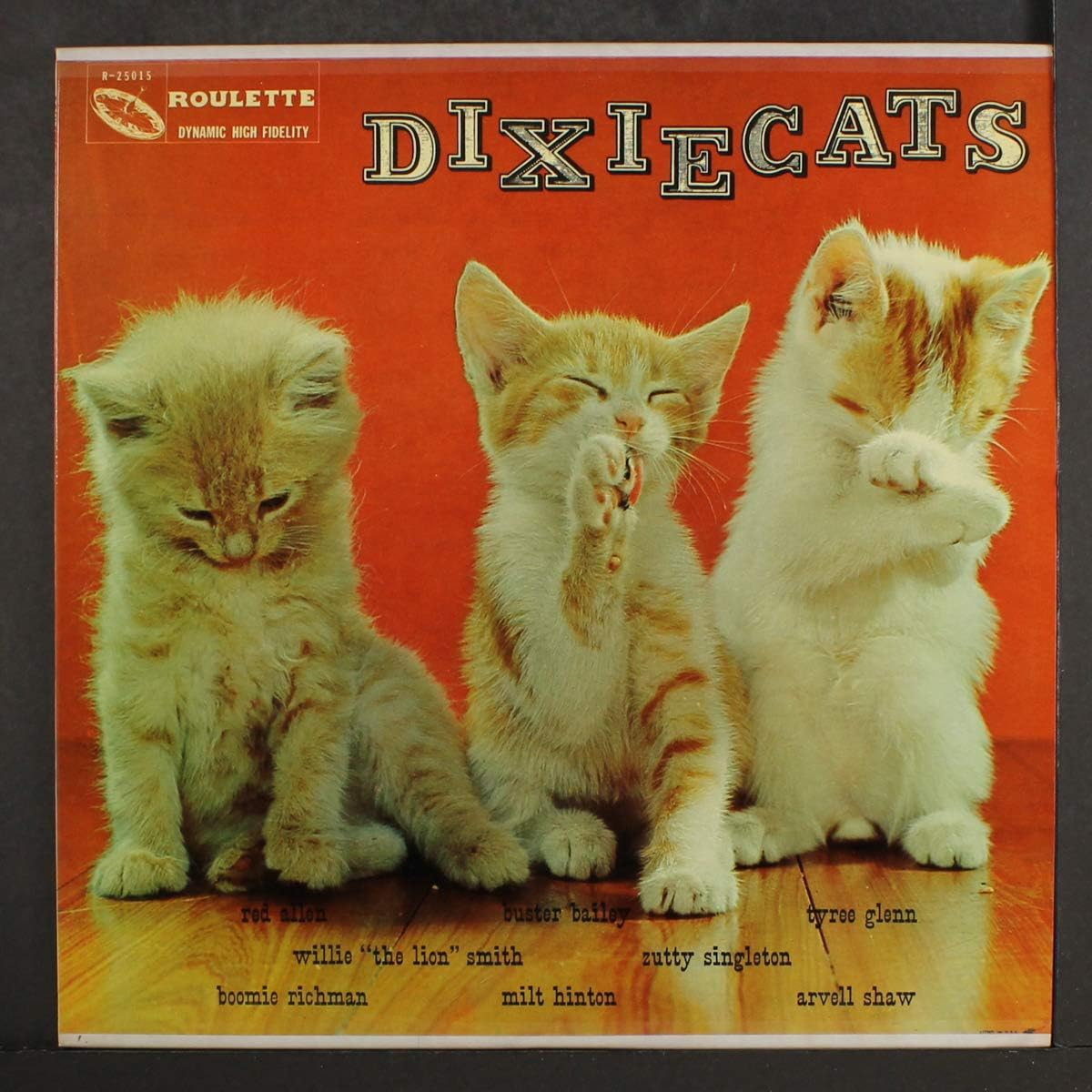 dixiecats: Amazon.co.uk: Music