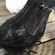 Rabe, klein 15 cm: Amazon.de: Spielzeug