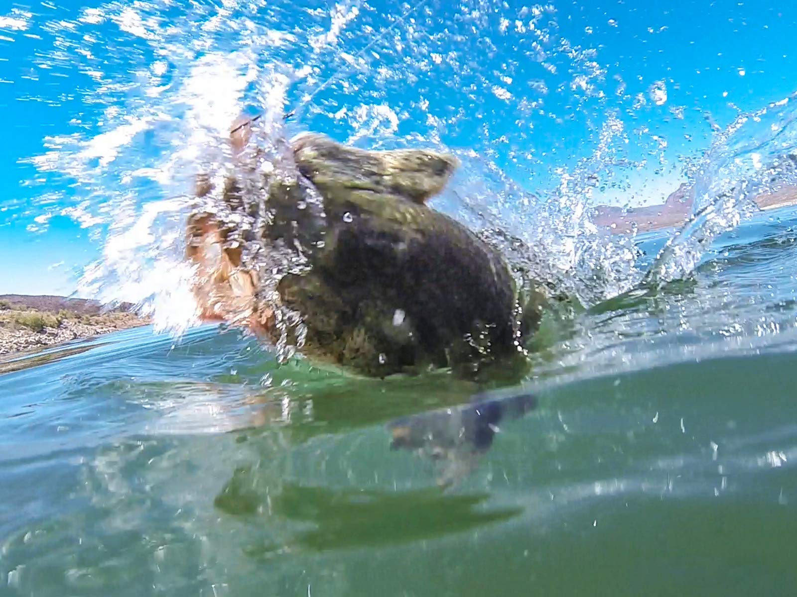 Watch Fishing with Gary Senft | Prime Video