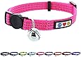Amazon.com: Pawtitas Pet Reflective Cat Collar with Safety Buckle and ...