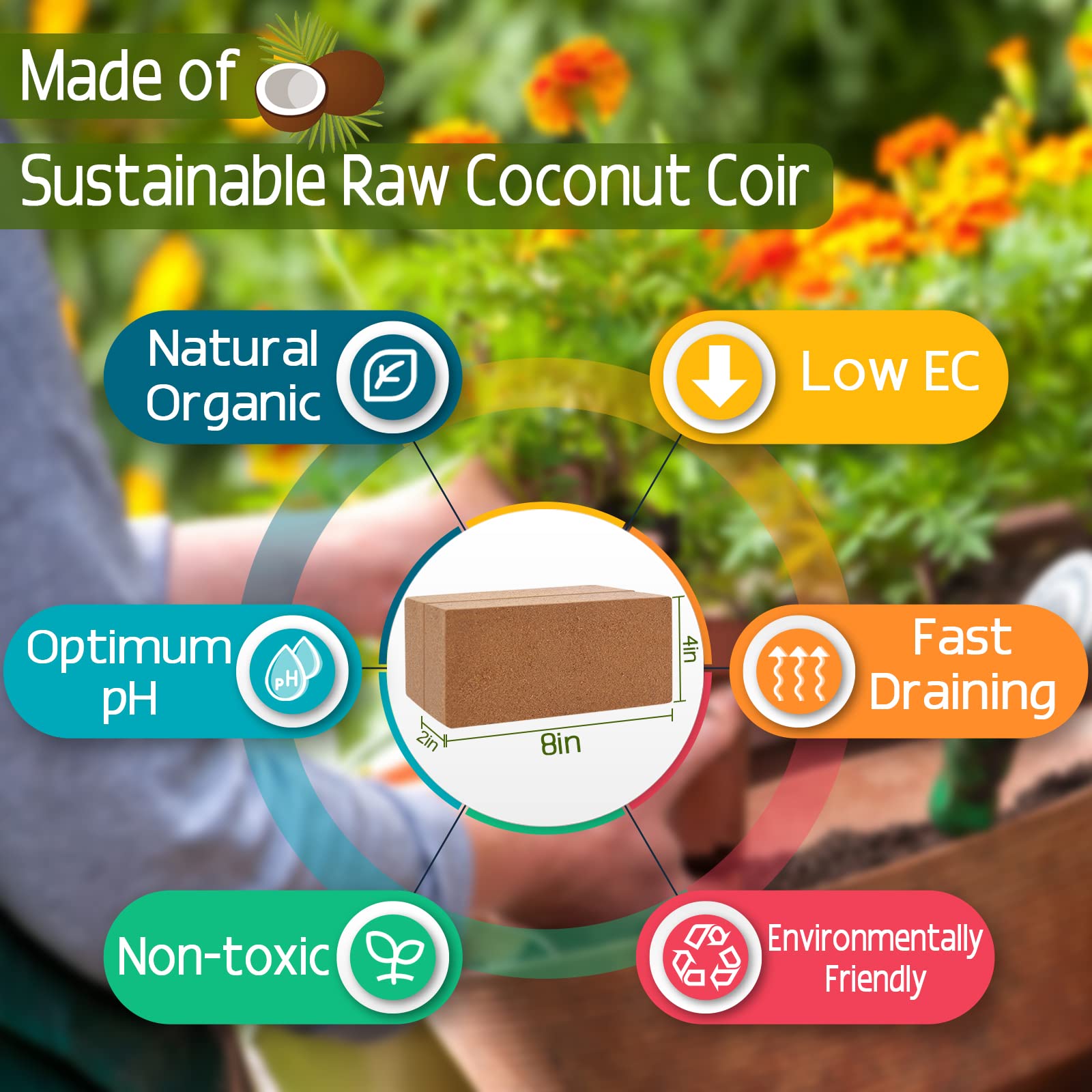 Mua ZeeDix 10 Pcs Premium Coco Coir Bricks Compressed Coconut Coir for ...