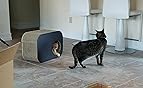 Amazon.com : Pawaboo Cat Scratcher Lounge- Premium Corrugated Cardboard ...