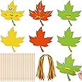 Amazon.com: Liliful 60 Set Fall Leaves Scratch Crafts Colorful Magic ...